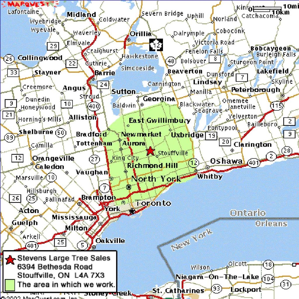 Stevens Large Tree Sales